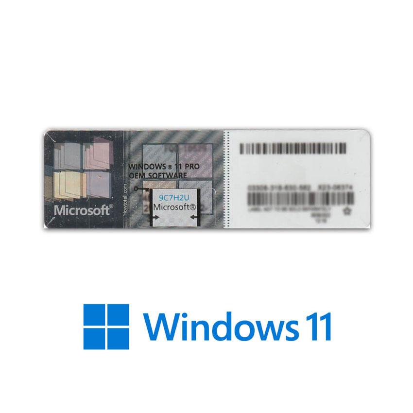 Microsoft Windows 10/11 Pro 64-bit (Key-License) - Sticker Label